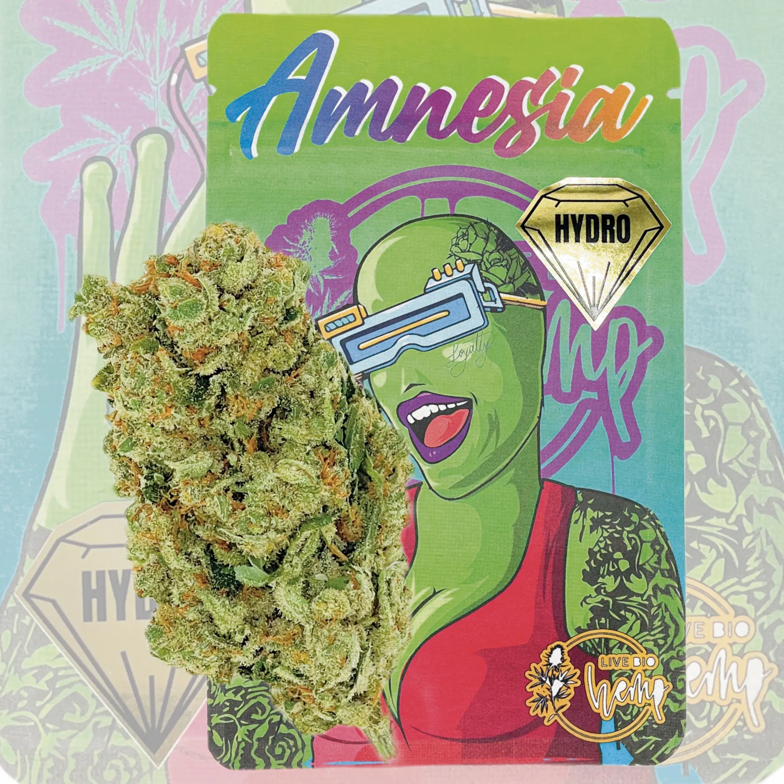 Flor CBD Amnesia Hidropónica - Live Bio Hemp